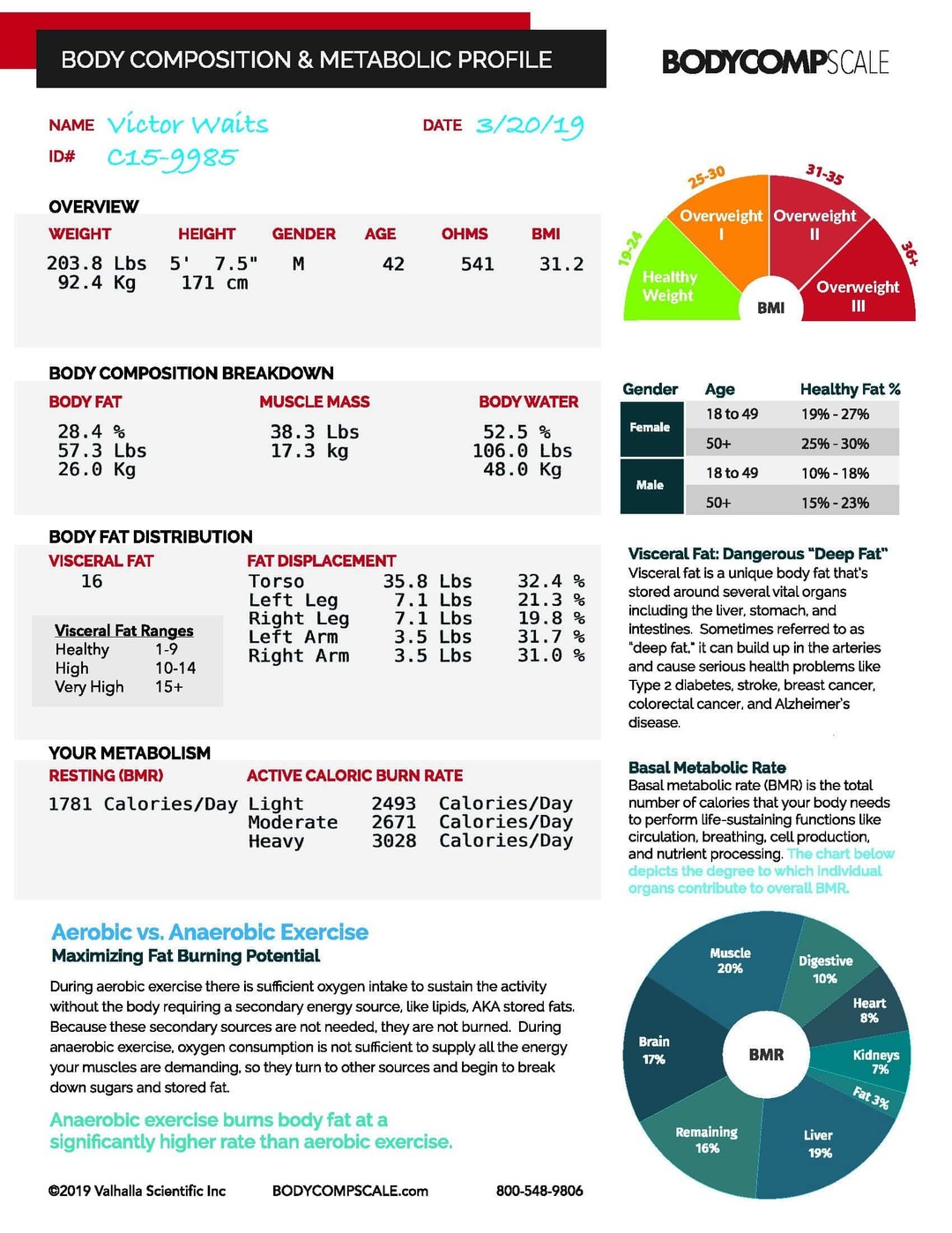 (P511A) 1-Page Rapid Report (Pack of 50) - Body Composition Scale
