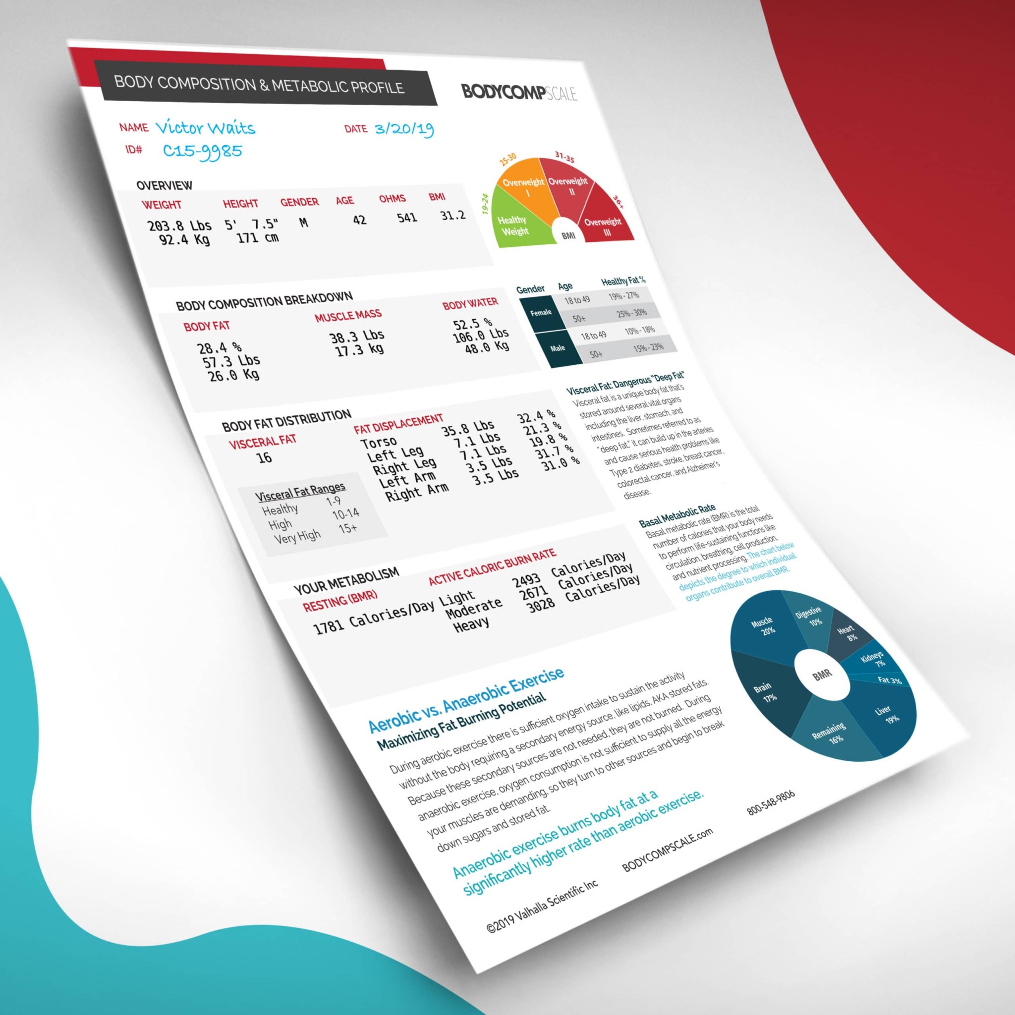 (P511A) 1-Page Rapid Report (Pack of 50) - Body Composition Scale