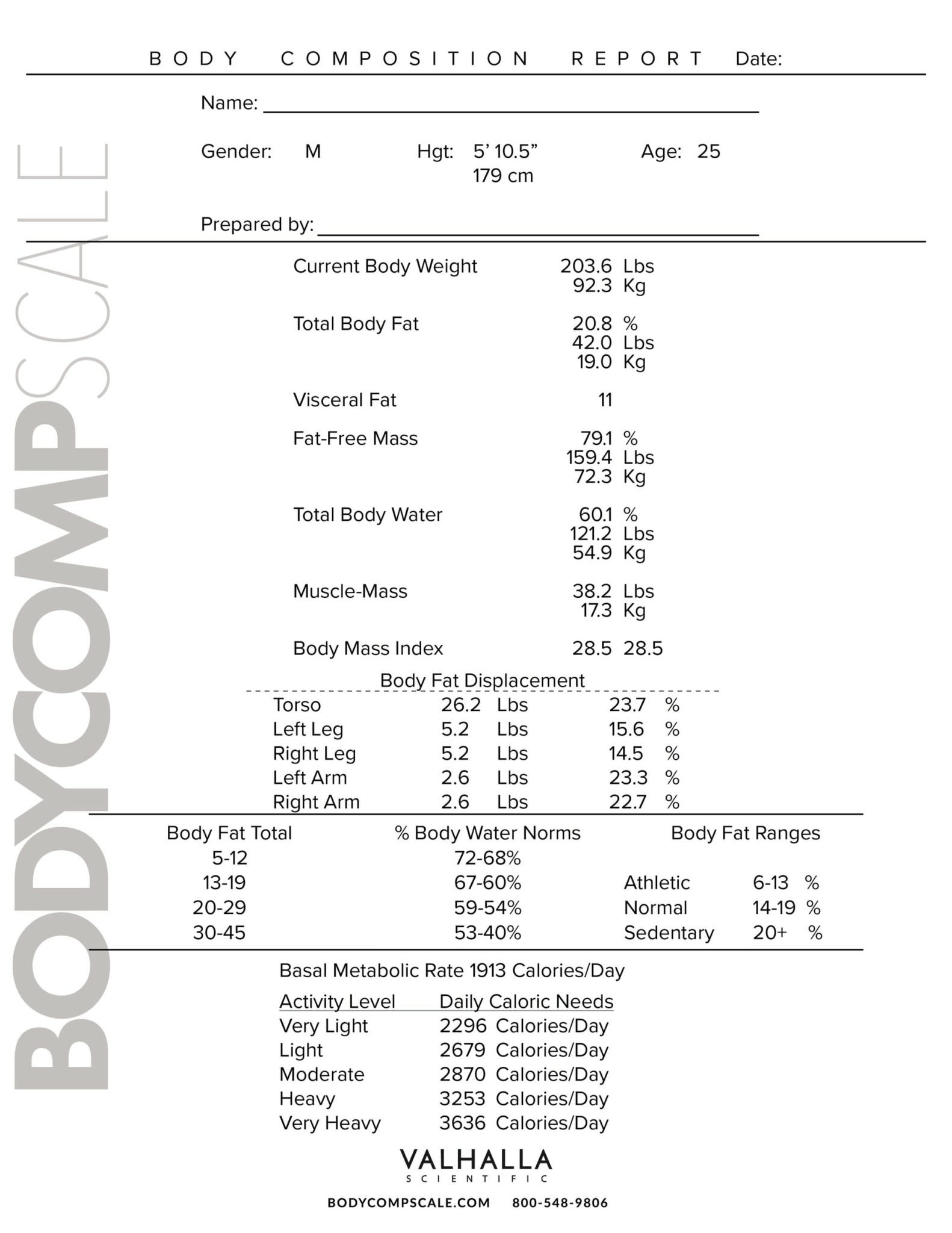 (P055B) 5-Page Illustrated Health Report (Pack of 10) - Body ...